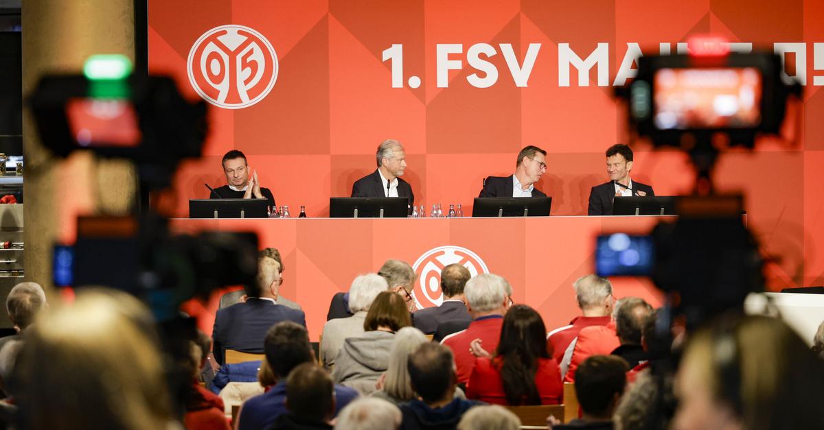Mainz 05: Fragen & Antworten zur Mitgliederversammlung