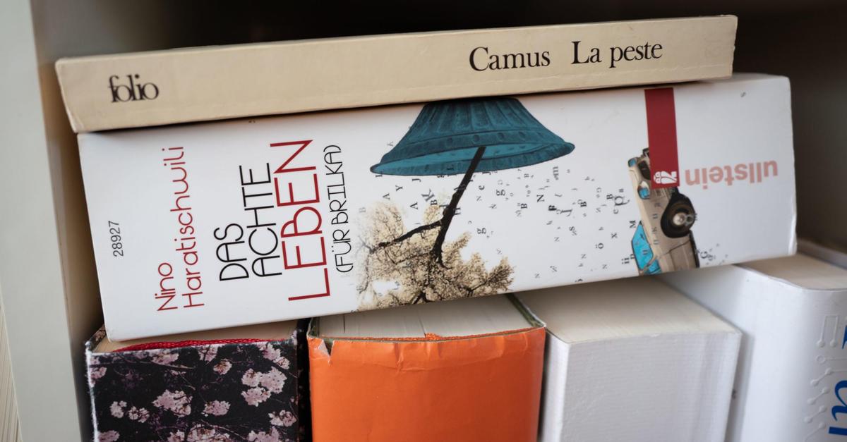 Doktor Bernard Rieux ist der Held unserer Tage