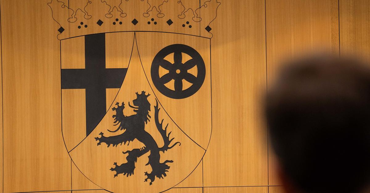 Rheinland-Pfalz: Polizeigewerkschaft schmeißt AfD-Landtagsabgeordneten raus