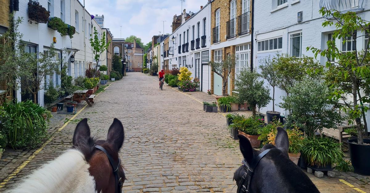 Hoch zu Ross: Mit dem Pferd durch Londons Hyde Park