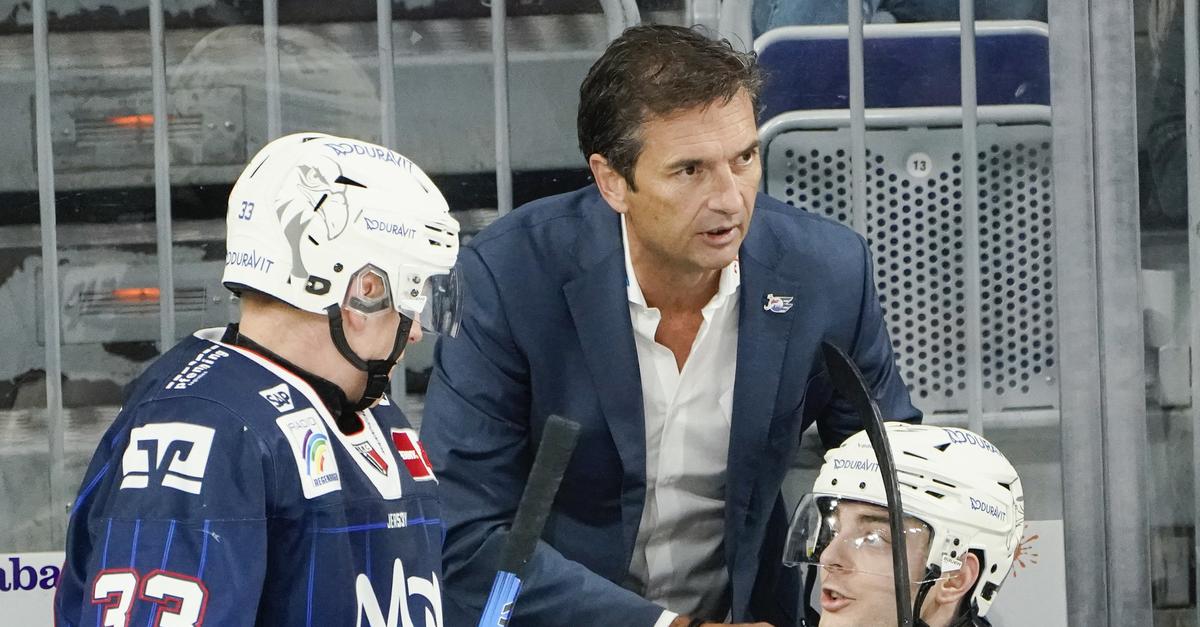 Adler Mannheim schlittern immer tiefer in die Krise