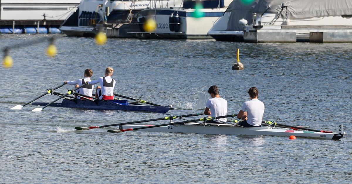Rund 900 Ruderer bei Herbstregatta im Wiesbadener Schiersteiner Hafen